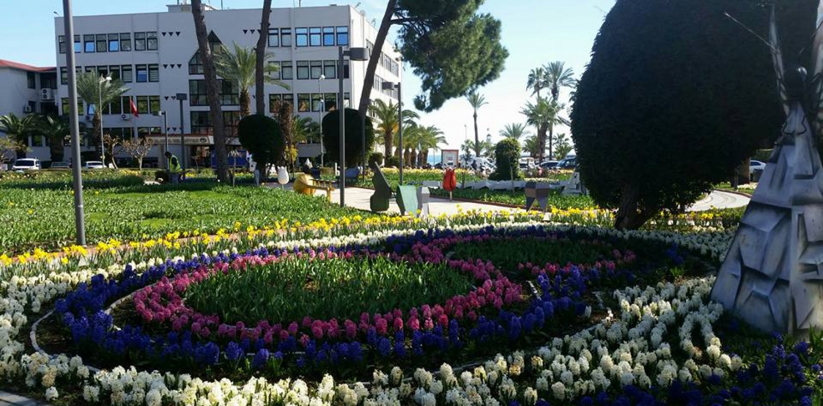 It's time for Tulips and Hyacinth in Alanya - Visit Alanya - Final ...