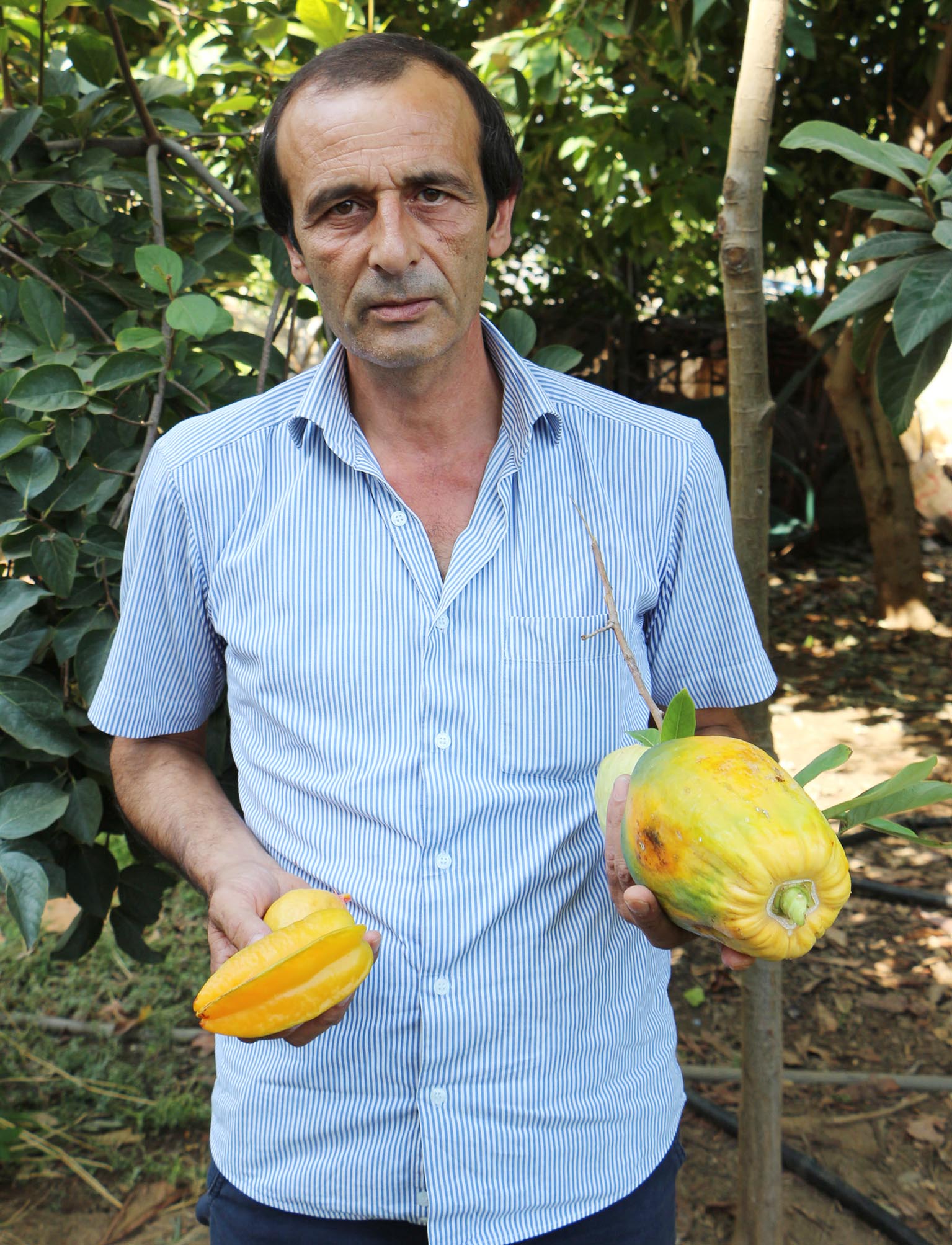 Tropical fruits in Alanya - Visit Alanya - Final Destination on Holiday!